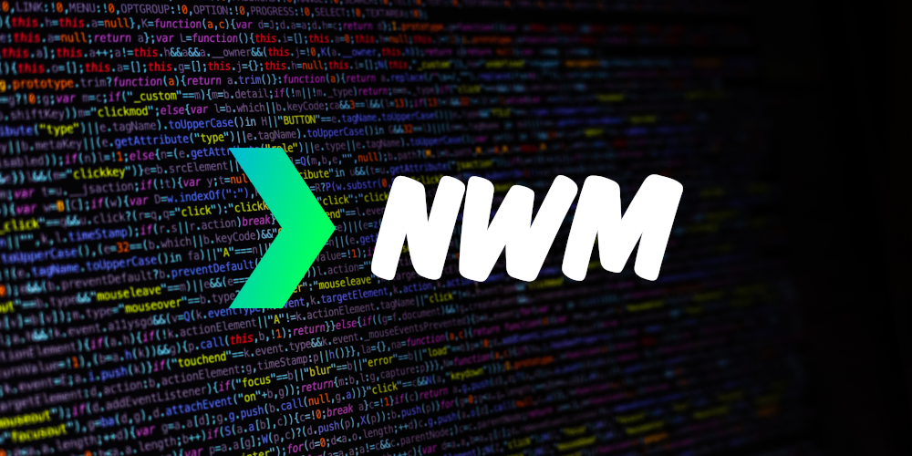 The NWM API